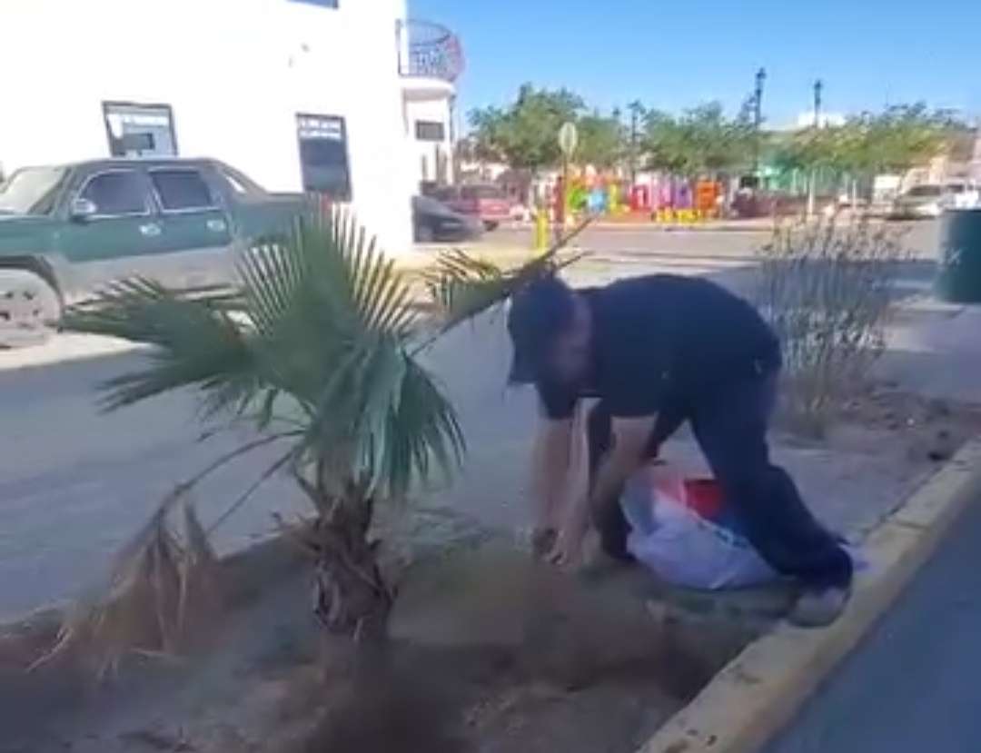 Dan mantenimiento a atrás verdes de Puerto Palomas | La Opción de Chihuahua