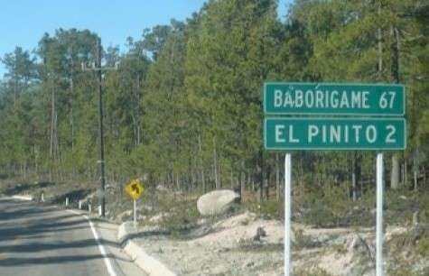 Versión: se arma la balacera en la comunidad de El Pinito | La Opción ...